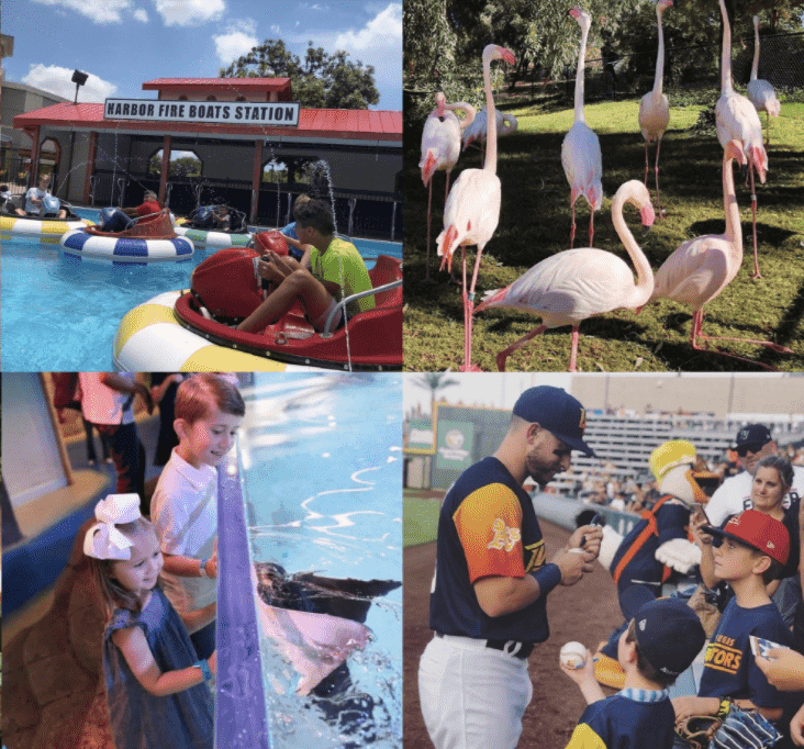 Pogo Passes – What is a Pogo Pass? - Enza's Bargains