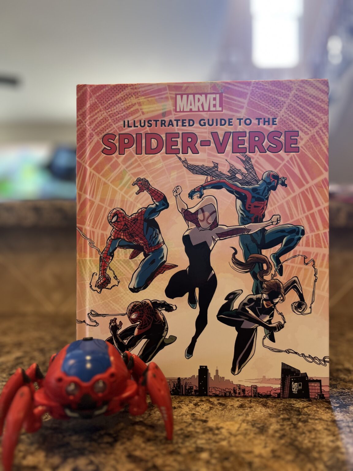 Illustrated Guide to the Spider-Verse Review - Enza's Bargains