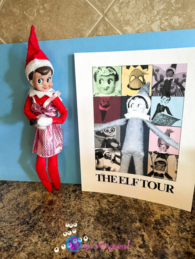 Elf on the Shelf 2024 Ideas - Enza's Bargains