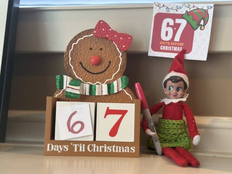 67 Elf on the Shelf Idea - Enza's Bargains